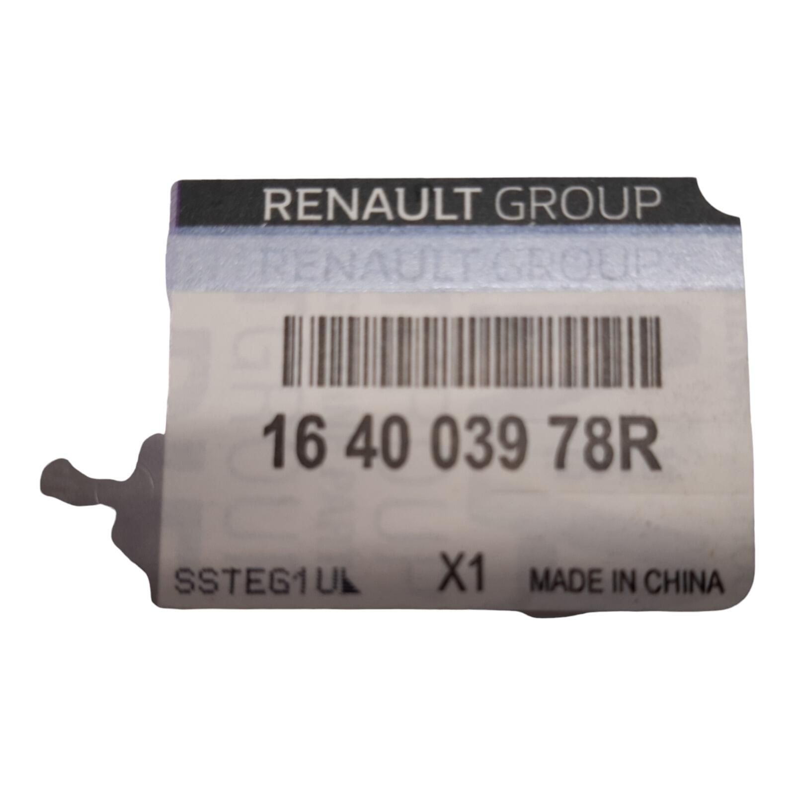Genuine Renault Laguna 3 Twingo 2 Kangoo 2 Fuel filter 164003978R