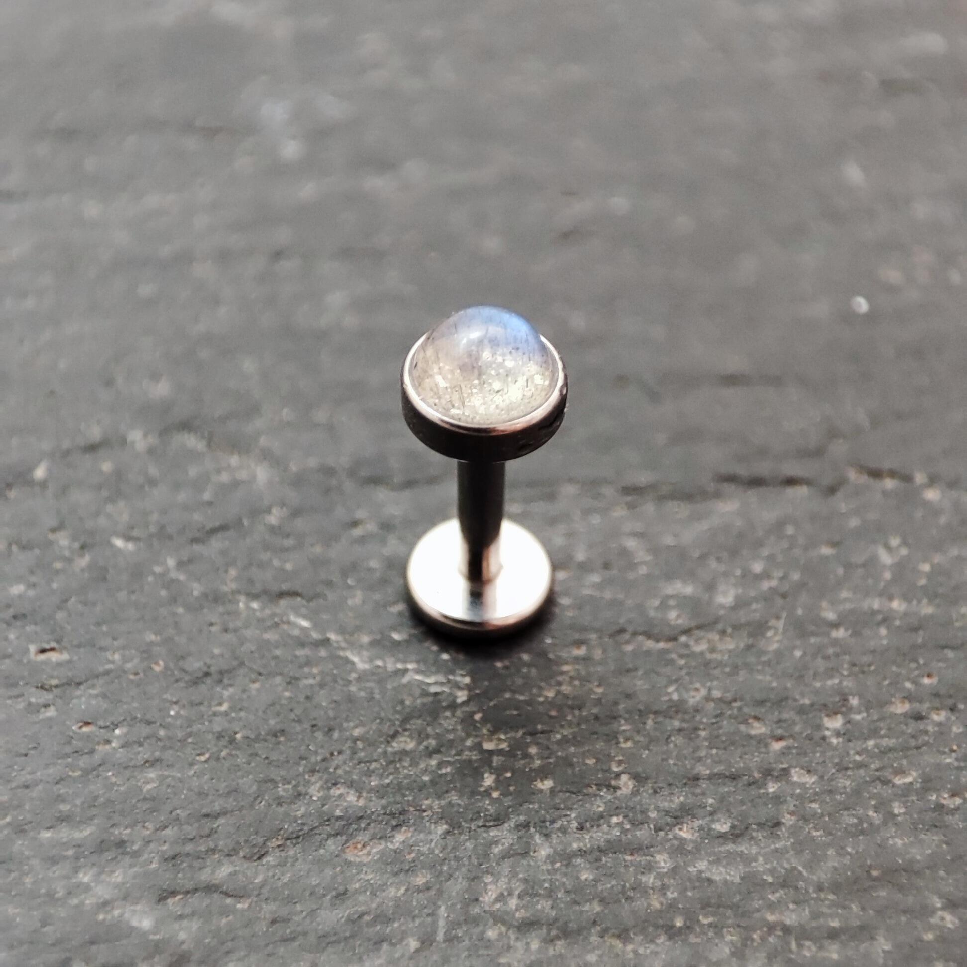 Silver Labrets (Titanium)