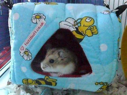 Fuzzbutt mini Snooze Cube fleece house for your mouse,hamster,degu,glider