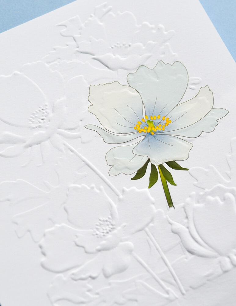 Memory Box - RUB103 White Anemone Rub On; Rub Ons