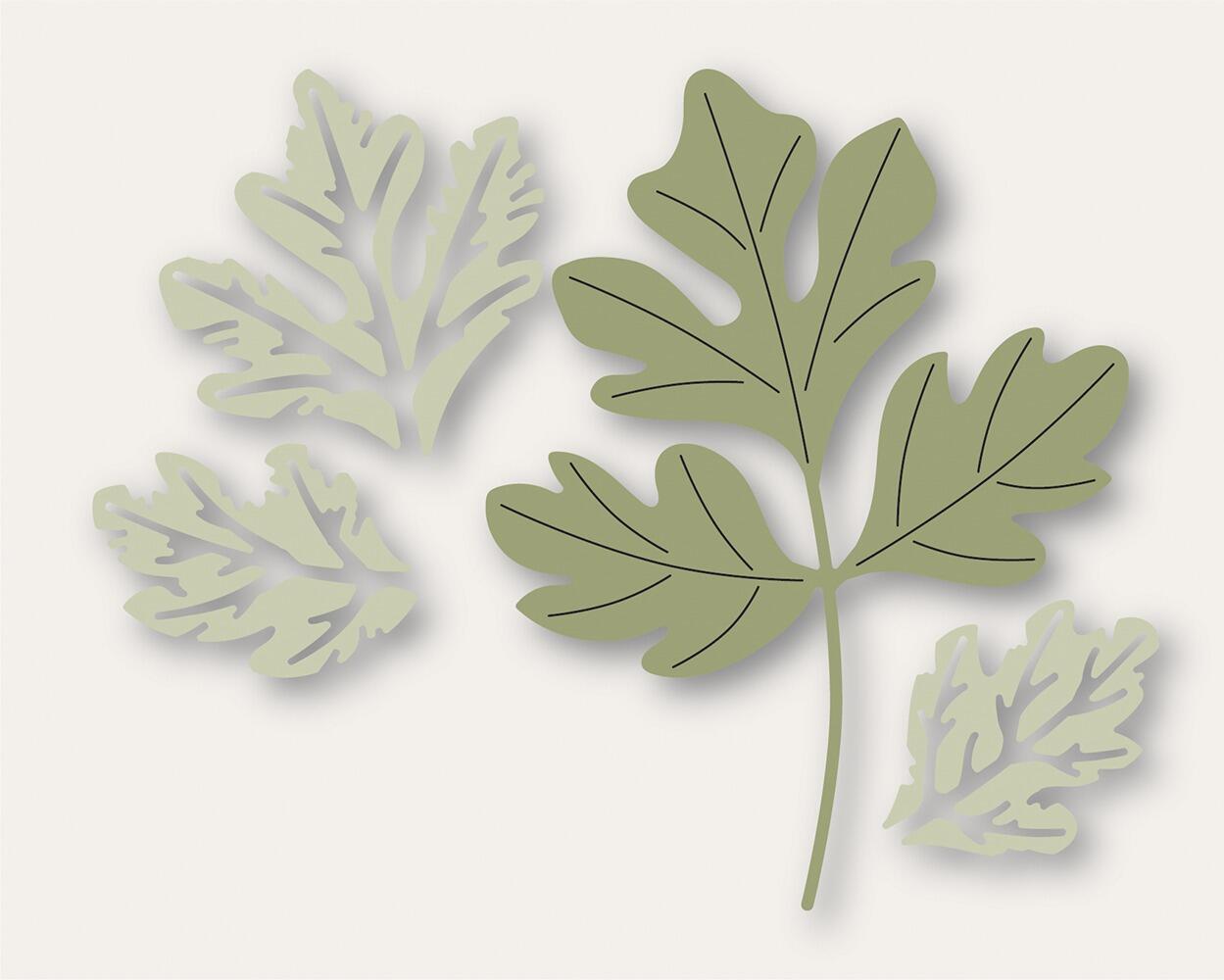 Birch Press Design - 57521 Lush Leaves Contour Layers craft die