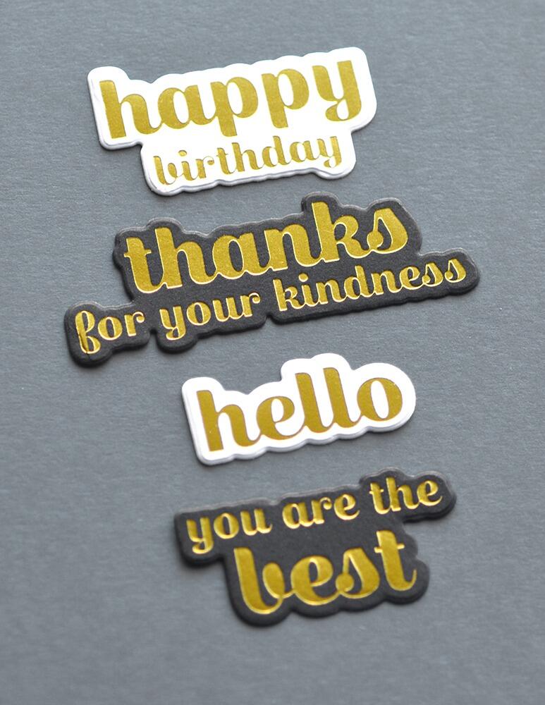 Birch Press Design - BPF505 Sugar Script Sentiments 2 Hot Foil Plate ...