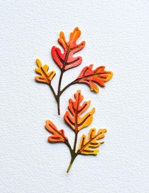 Birch Press Design - 57556 Oak Leaves Contour Layers craft die