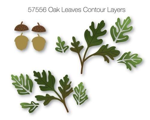 Birch Press Design - 57556 Oak Leaves Contour Layers craft die