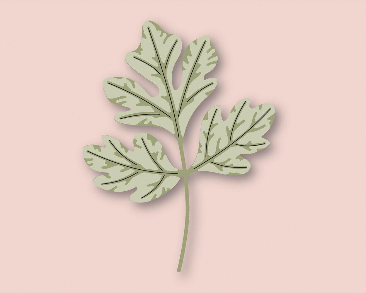 Birch Press Design - 57521 Lush Leaves Contour Layers craft die