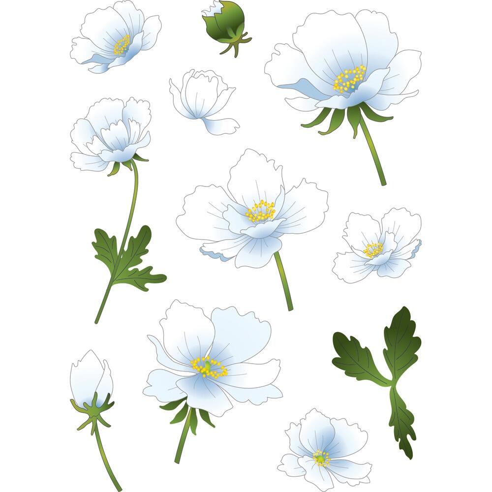 Memory Box - RUB103 White Anemone Rub On; Rub Ons