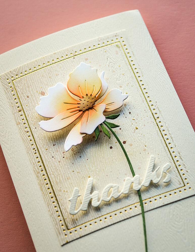 Memory Box - MBF010 Rectangle Dot Border Foil Plate craft die