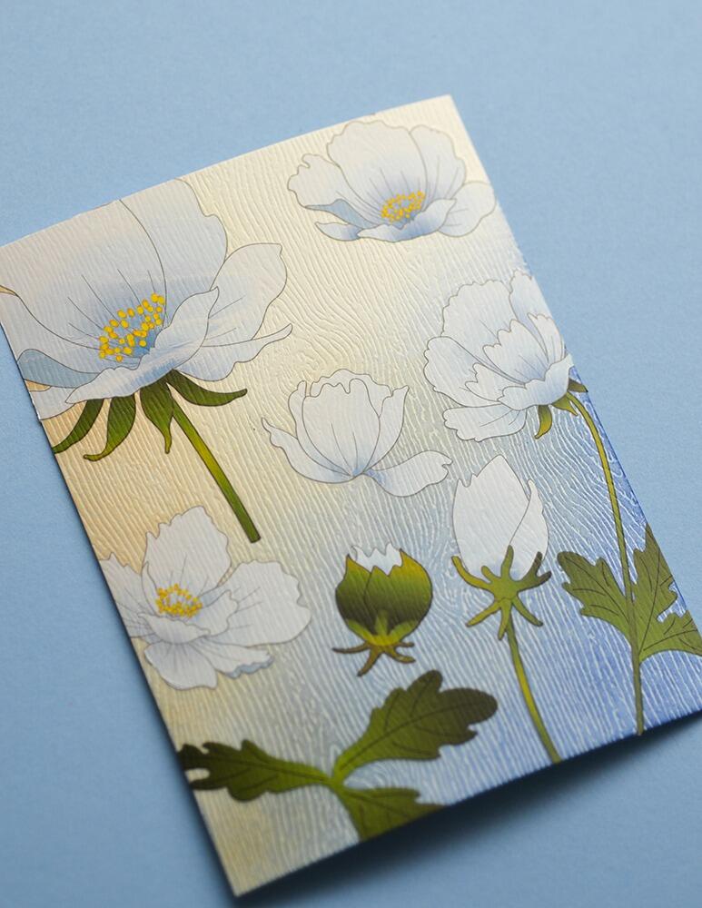 Memory Box - RUB103 White Anemone Rub On; Rub Ons