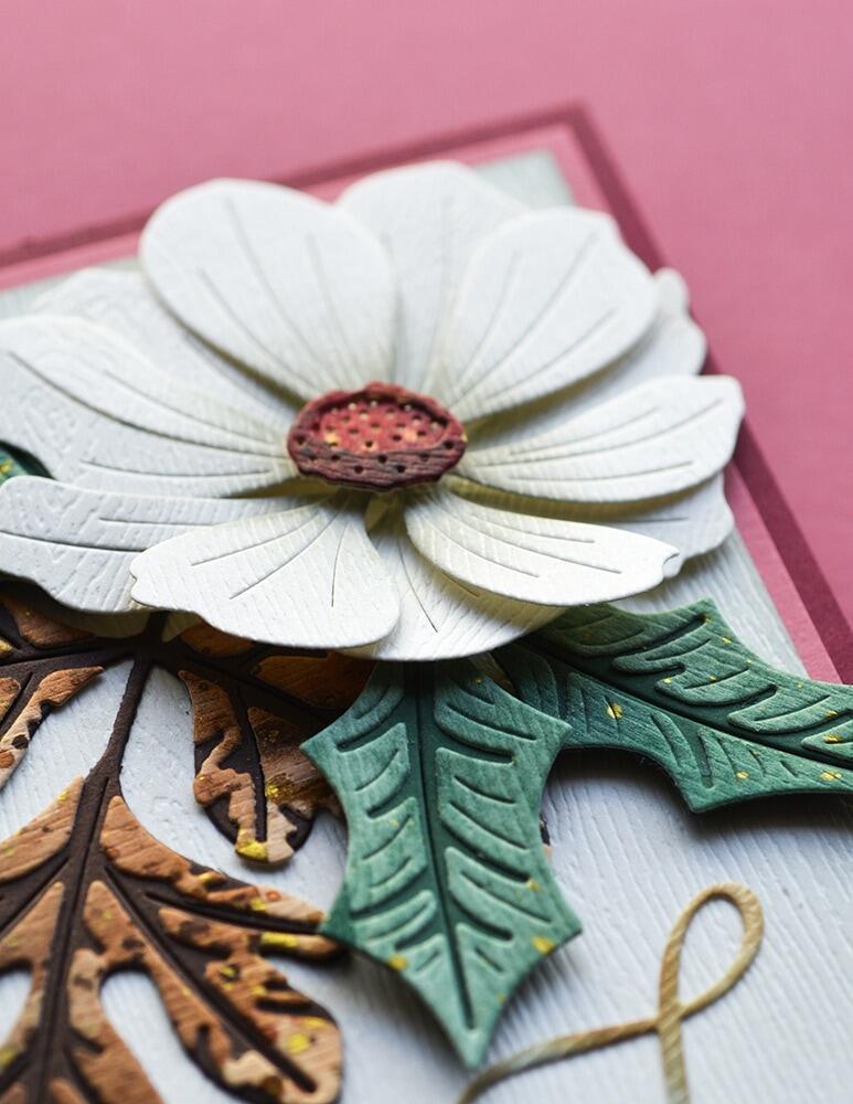 Birch Press Design - 57555 Splendid Cosmos Contour Layers craft die