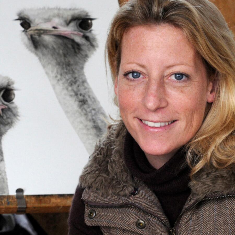 C&D Fine Art Limited