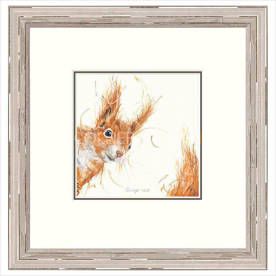 Ginger Nut - Framed