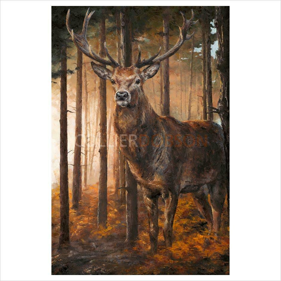 Forest Gaze - Artist's Proof