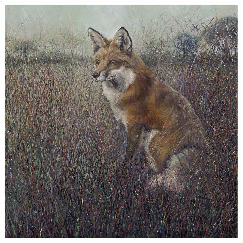 Red Fox - Artist's Proof