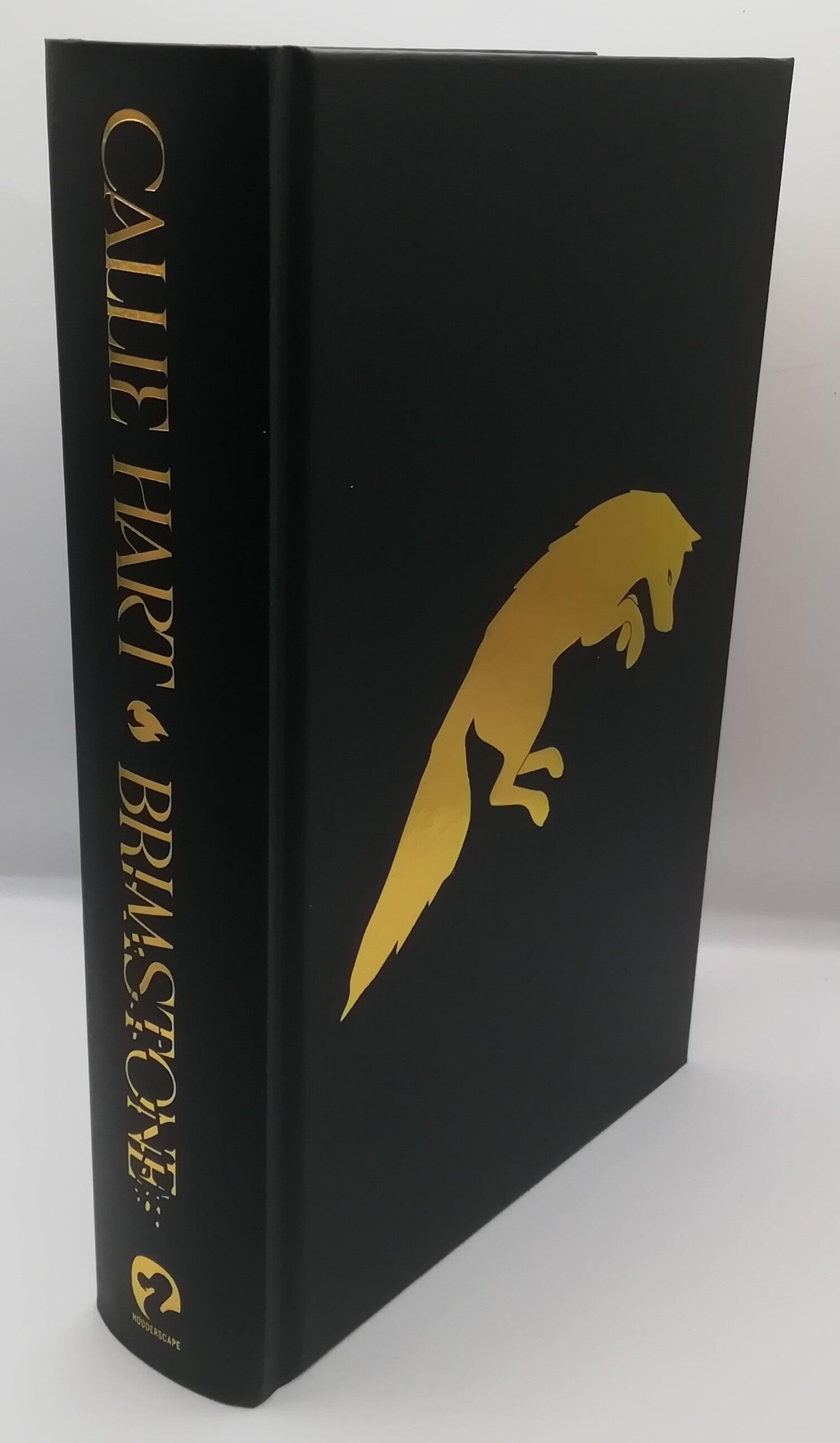 roll over the image to zoom in