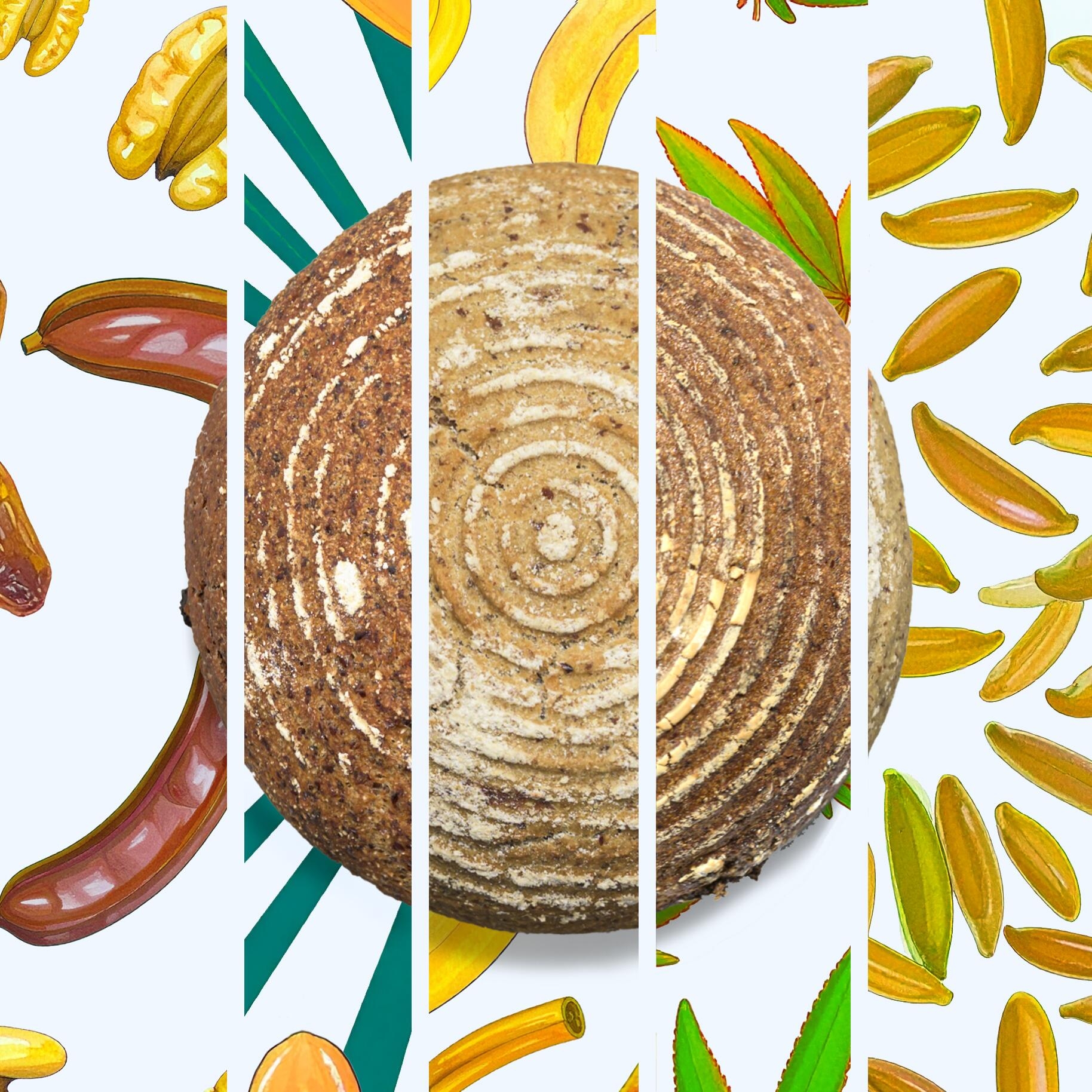 Healthy Bread UK | No Additives | Uncle Fred Bakery