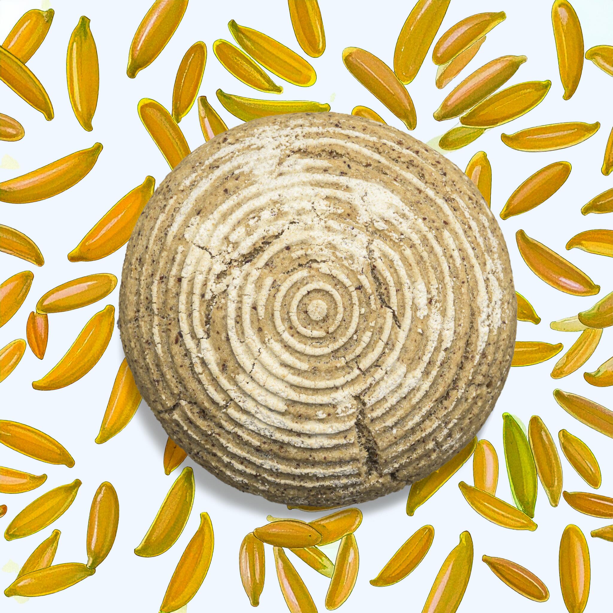 Healthy Bread UK | No Additives | Uncle Fred Bakery