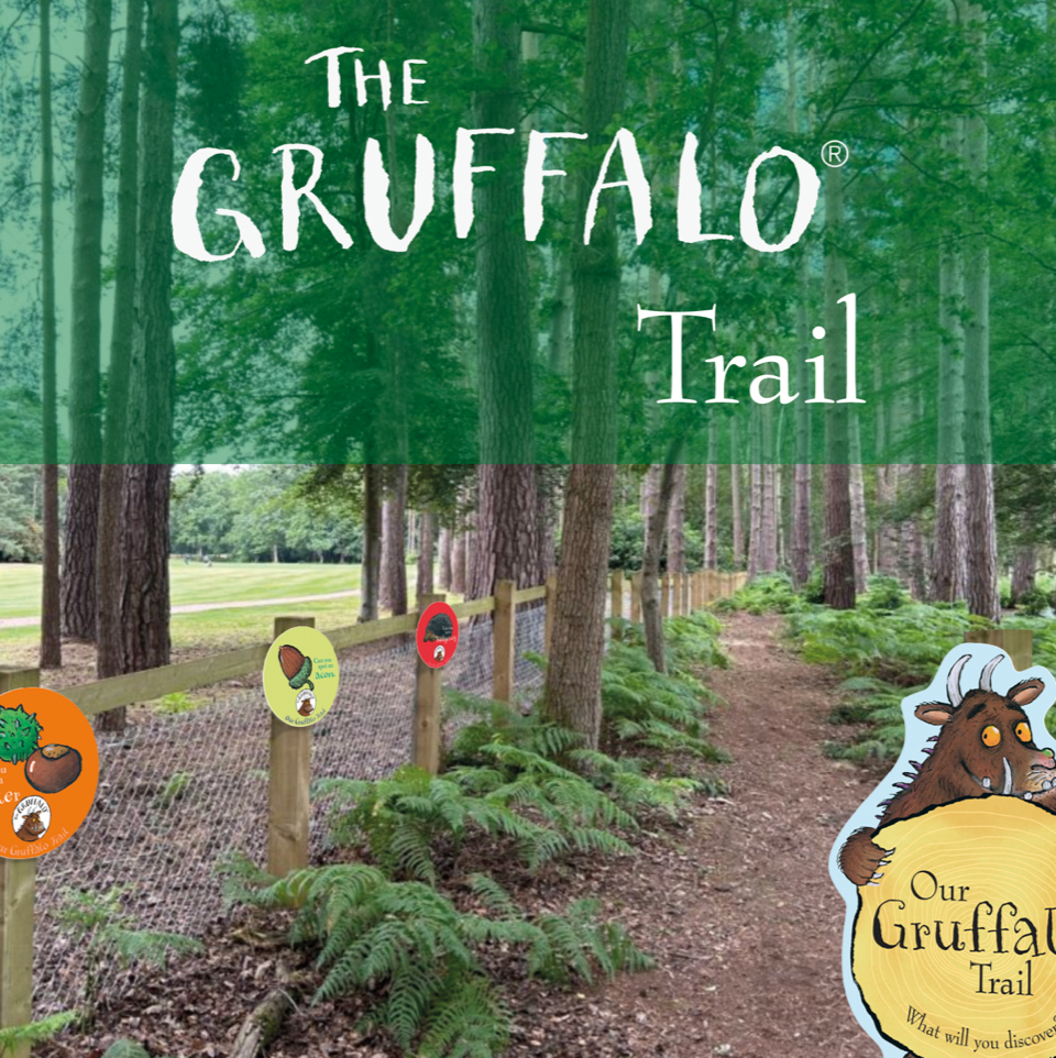 Gruffalo Trail Set