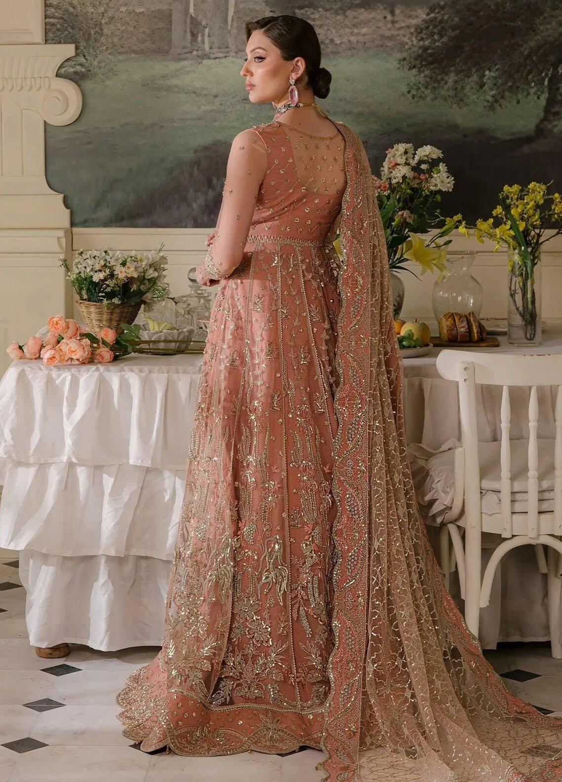 Spinel Reve Royal by Fabiha Fatima Embellished Net Gown Dress