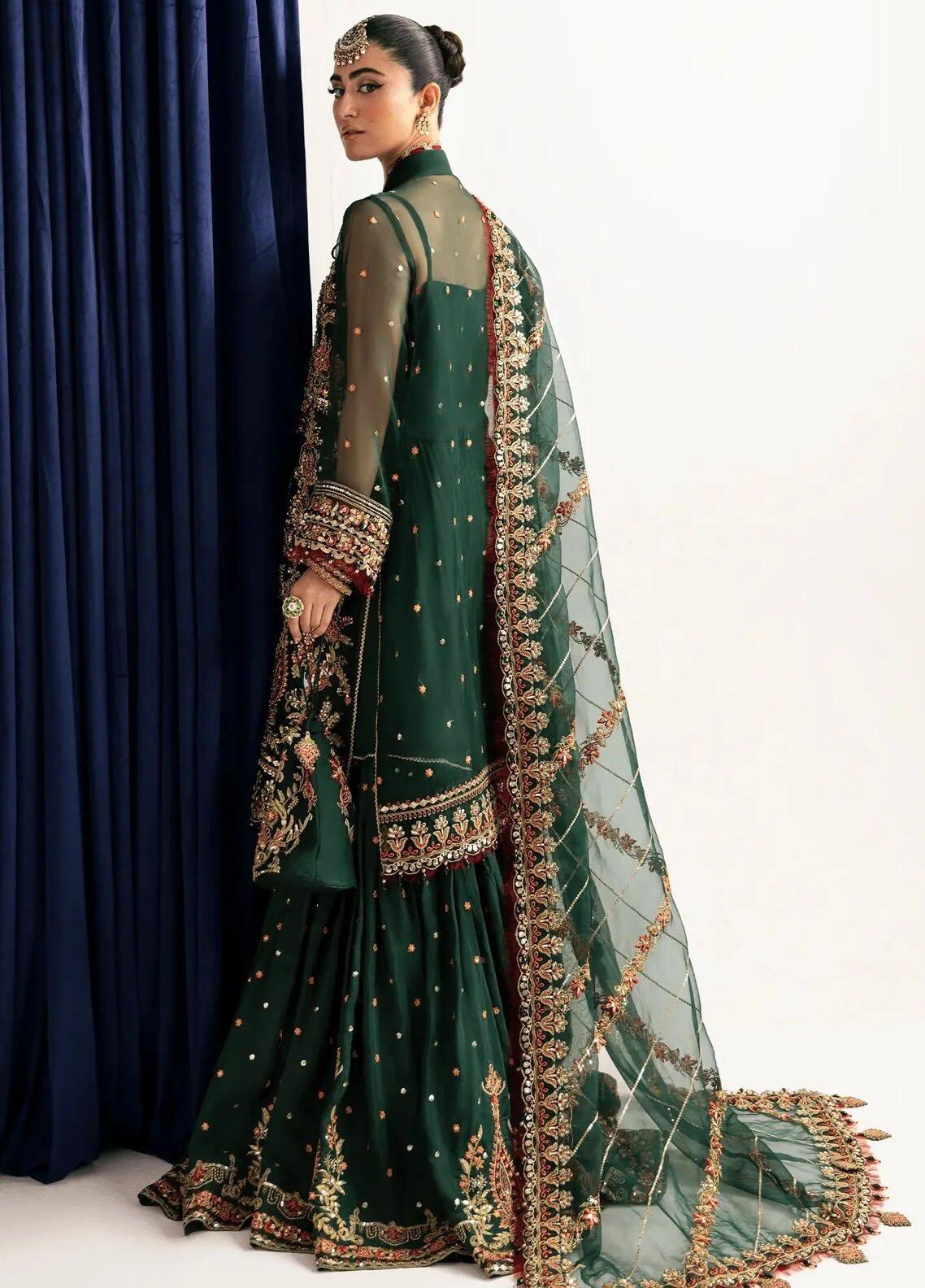 Aurora Zebaish by Fabiha Fatima Luxury Embroidered Organza Dress