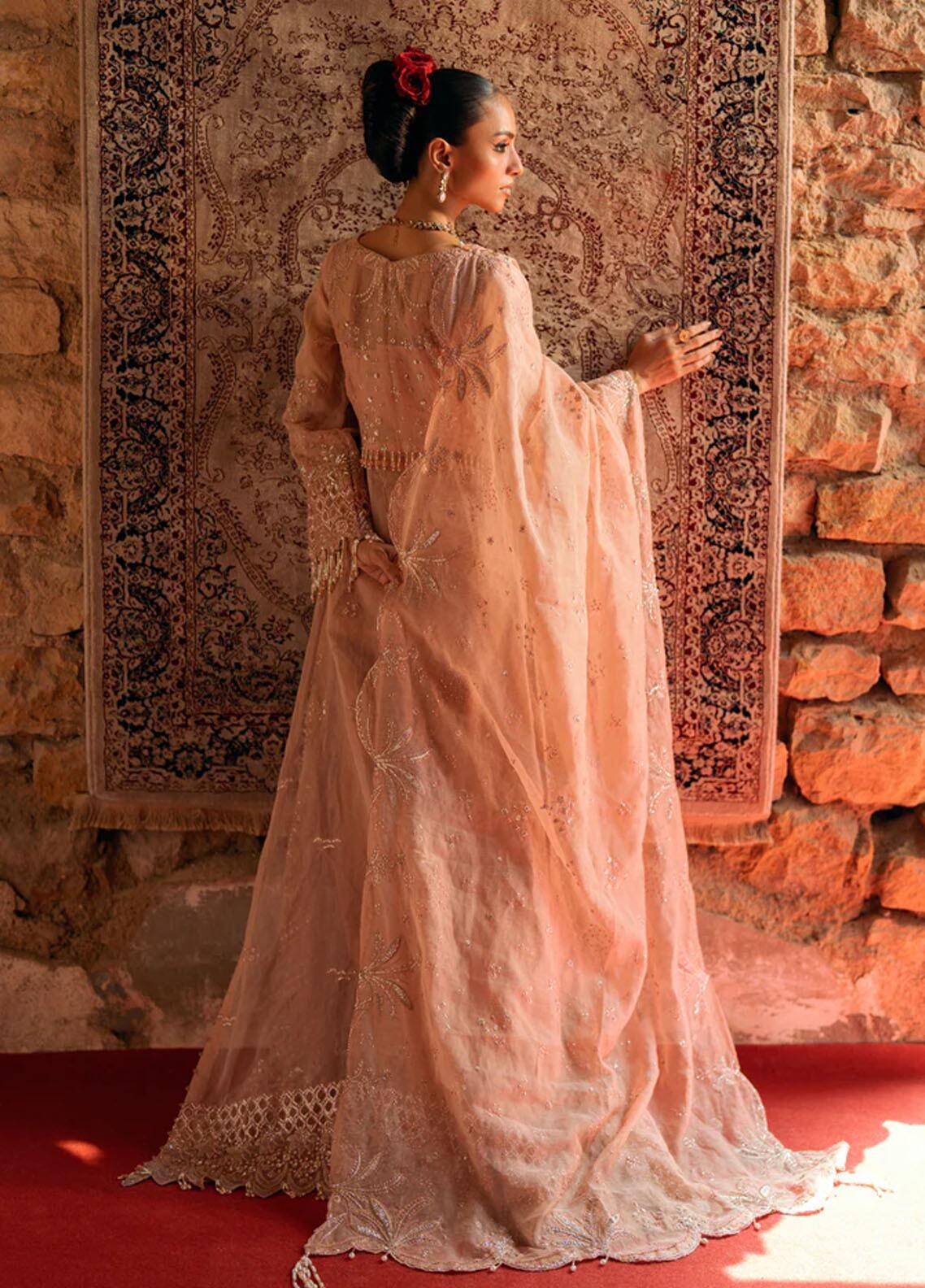 Mehermaah by Florent Embroidered Net Suits Nargis - Formals Collection