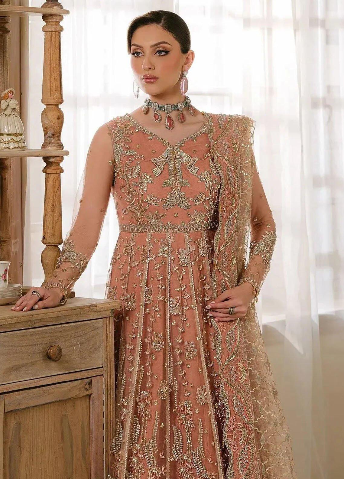 Spinel Reve Royal by Fabiha Fatima Embellished Net Gown Dress