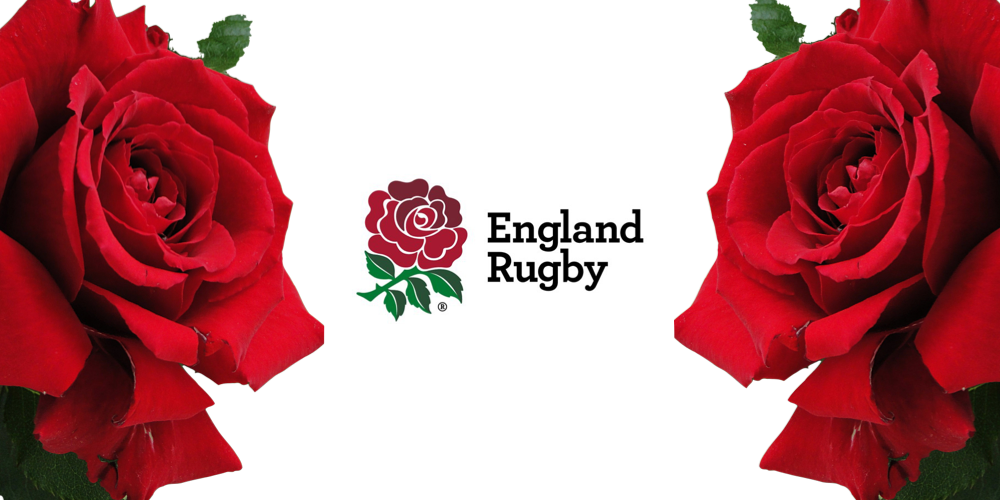 The Finest Bare Root & Potted British Roses | Harkness Roses