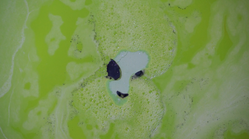 Handmade Ectoplasmic Alien Bath Bomb by Heavenly Bubbles