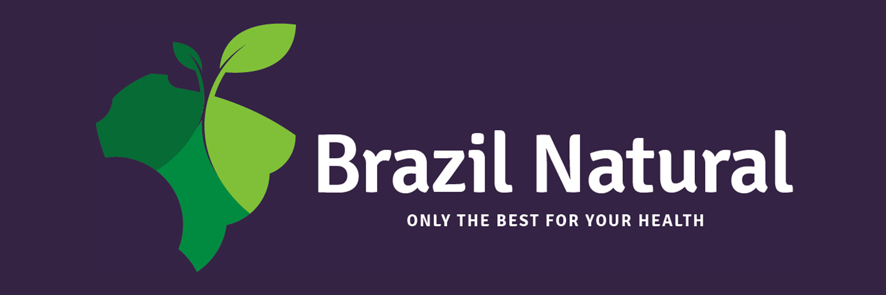 Brazil Sustainable Concept IVS