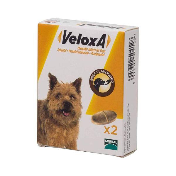 Veloxa Tablets for Dogs | Ballyduff Pharmacy