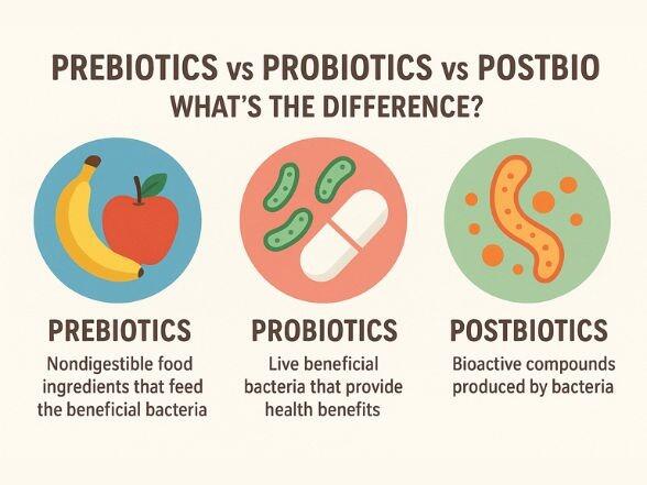 prebiotics uk