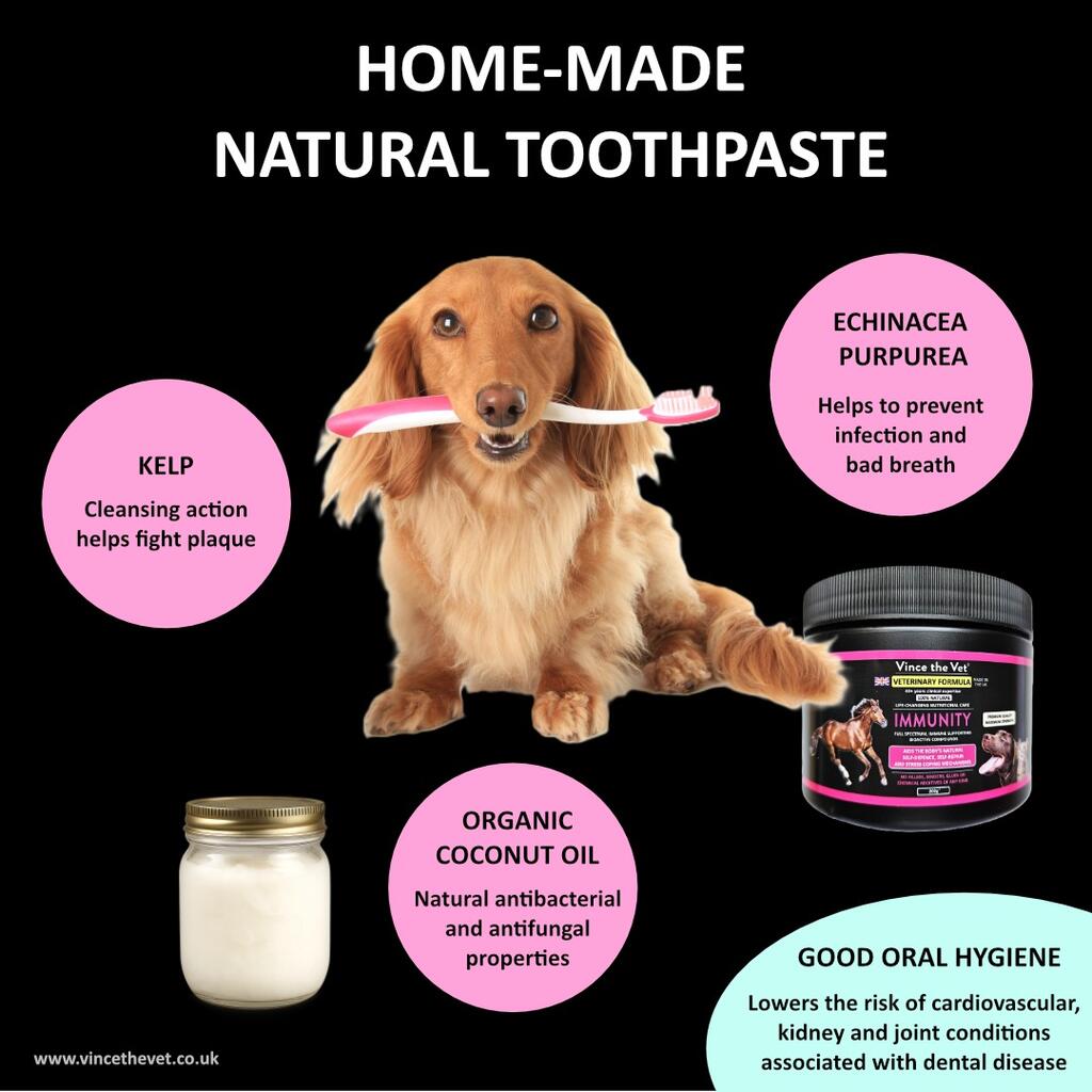 A HOME-MADE NATURAL TOOTHPASTE