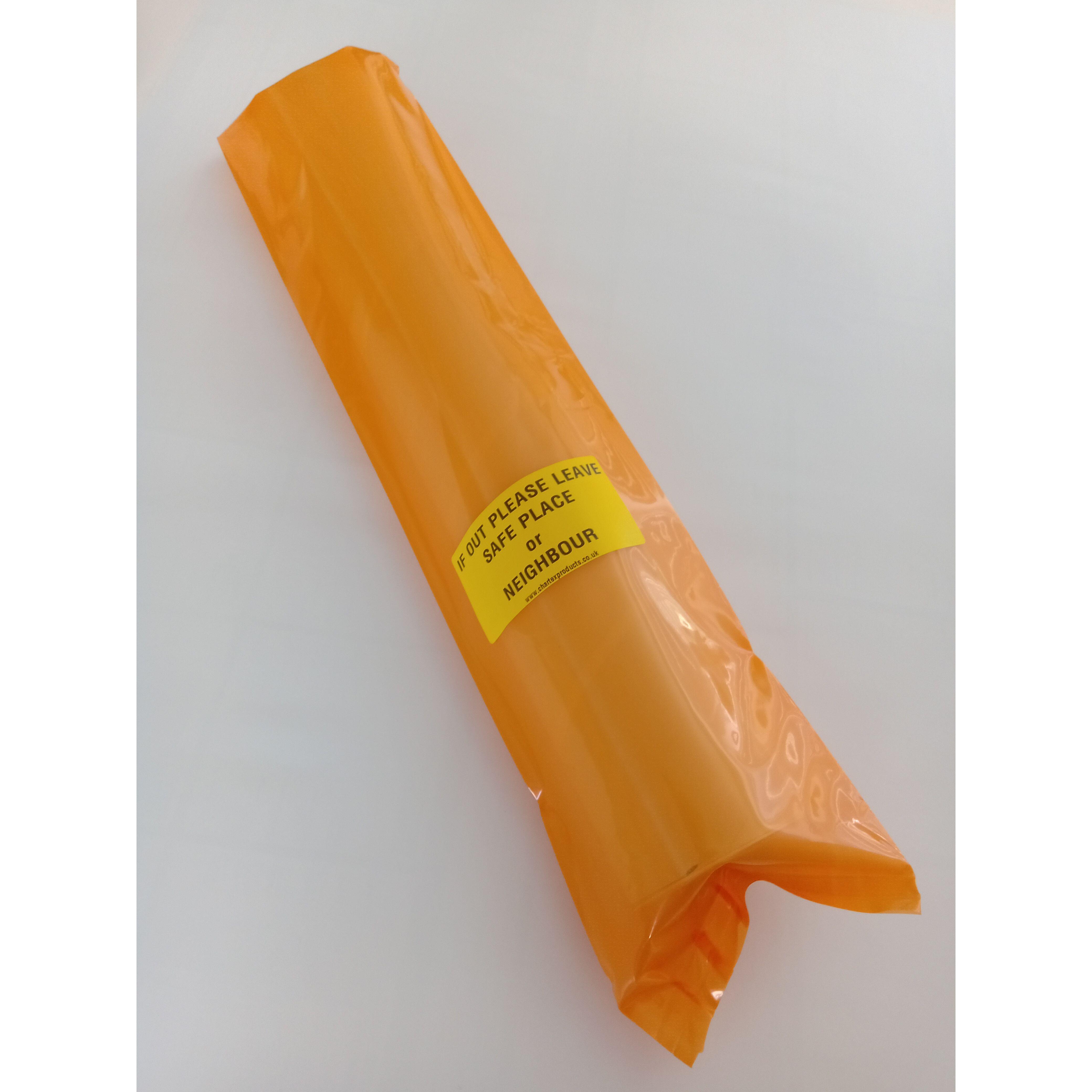 Muscle anatomy posters