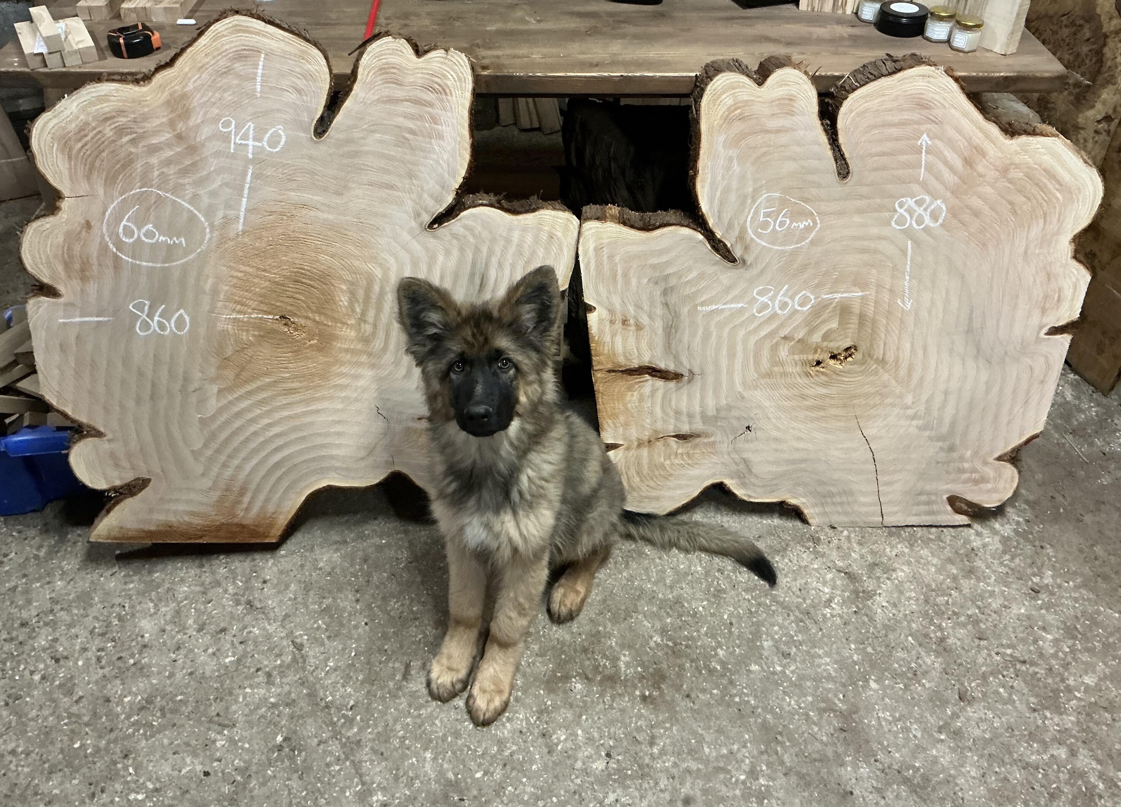 Cedar Cookies / slices / log slice