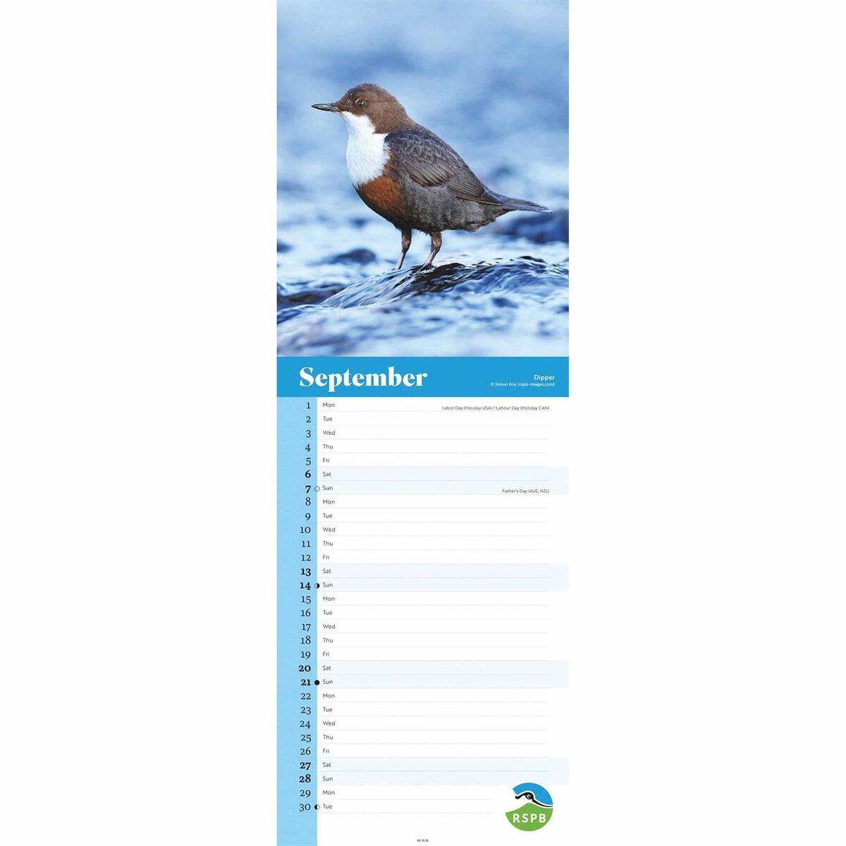 2025 RSPB Birds Slim Calendar