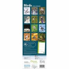 2025 RSPB Birds Slim Calendar