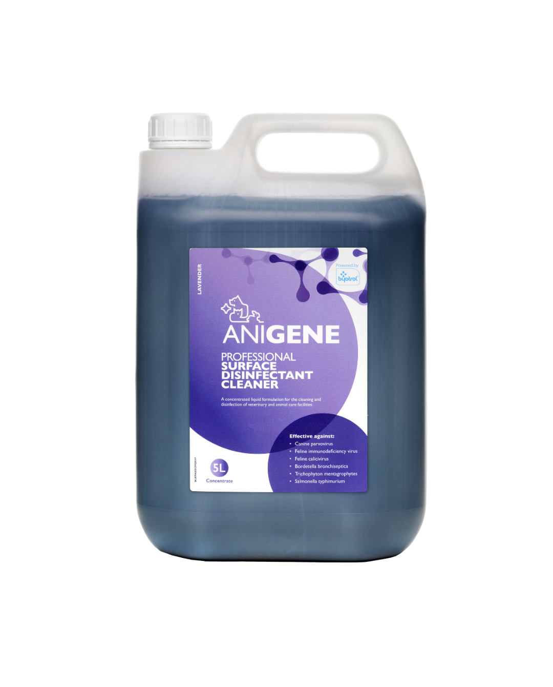 ANIGENE Professional Disinfectant Cleaner, 5 Litre - Lavender, Individual