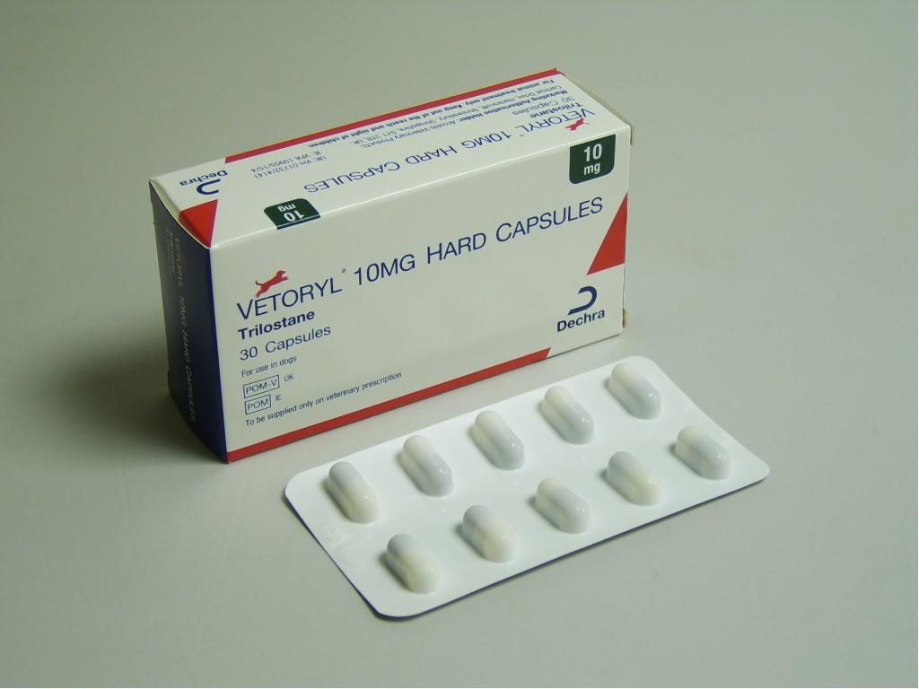 VETORYL CAPS 10MG- ONE TABLET