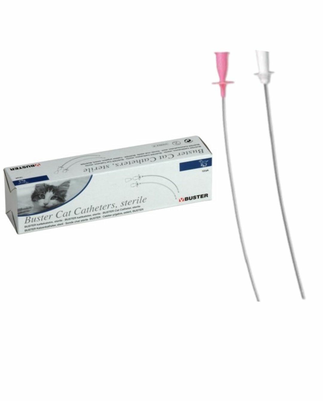 Buster Jackson Type Cat Catheter 4FG 1.3x130 mm With Stylet, Individual