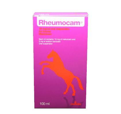 RHEUMOCAM EQUINE ORAL SUSP 100ML