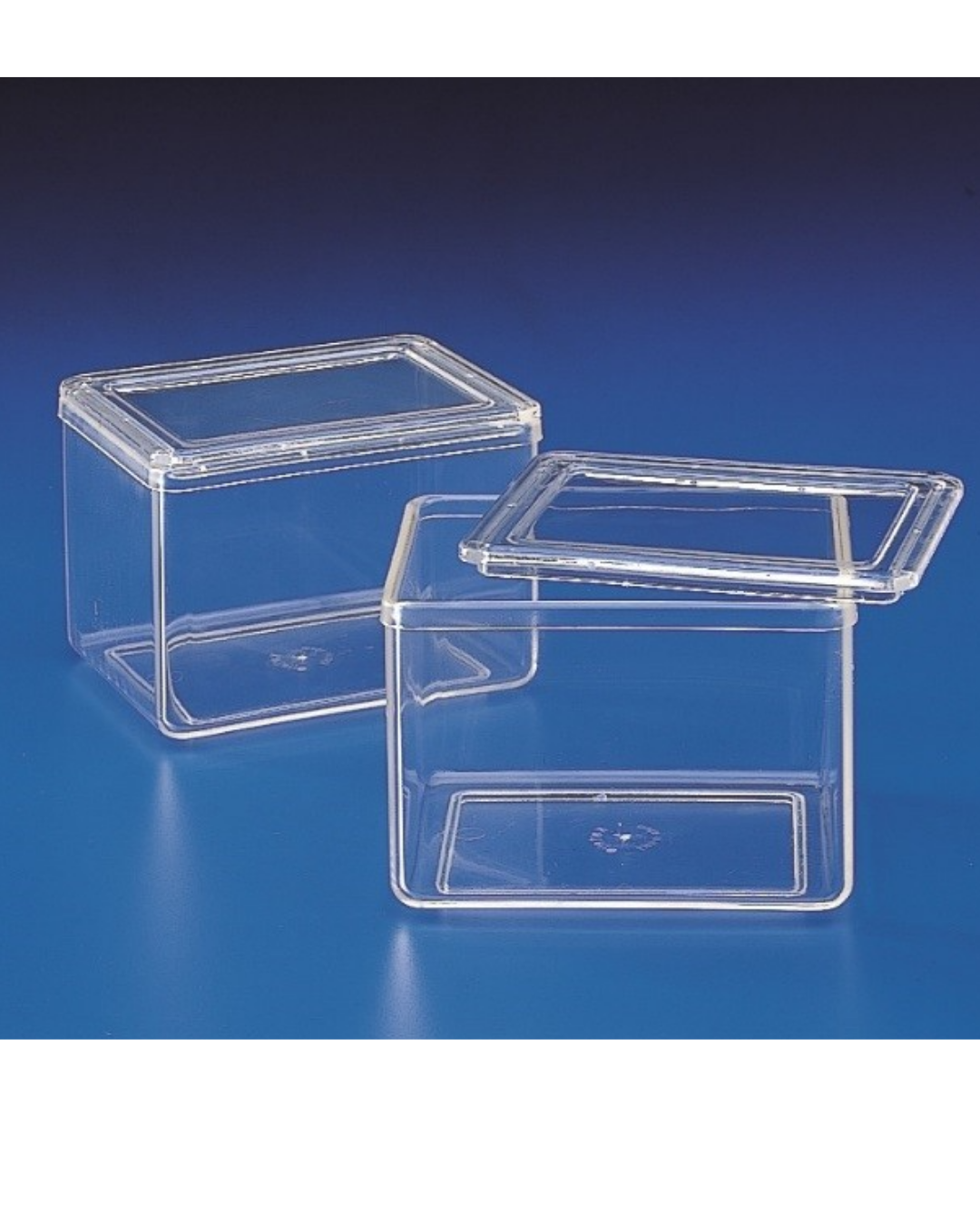 Staining Jar with 2 Lids, Individual