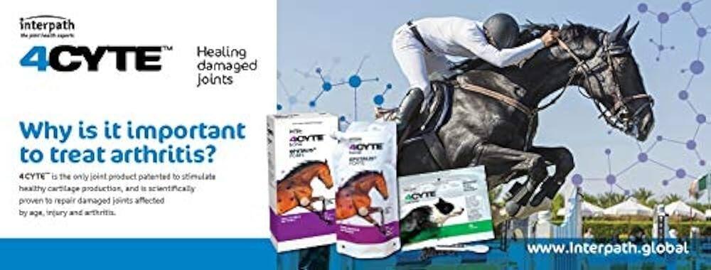 4CYTE EPIITALIS FORTE EQUINE 250ML