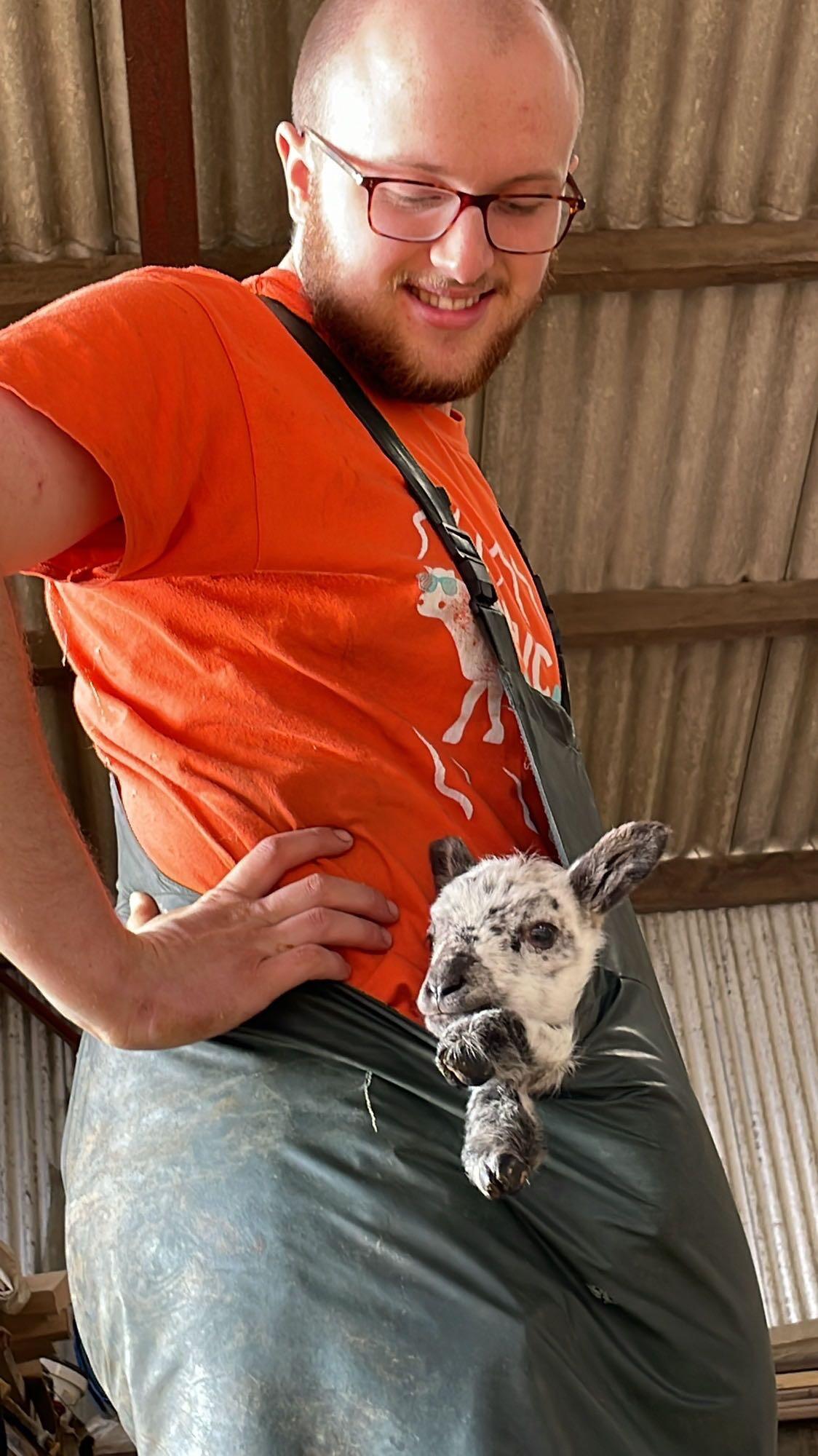 Lambing Placements: Insights and Tips for Vet Students | Vets4u