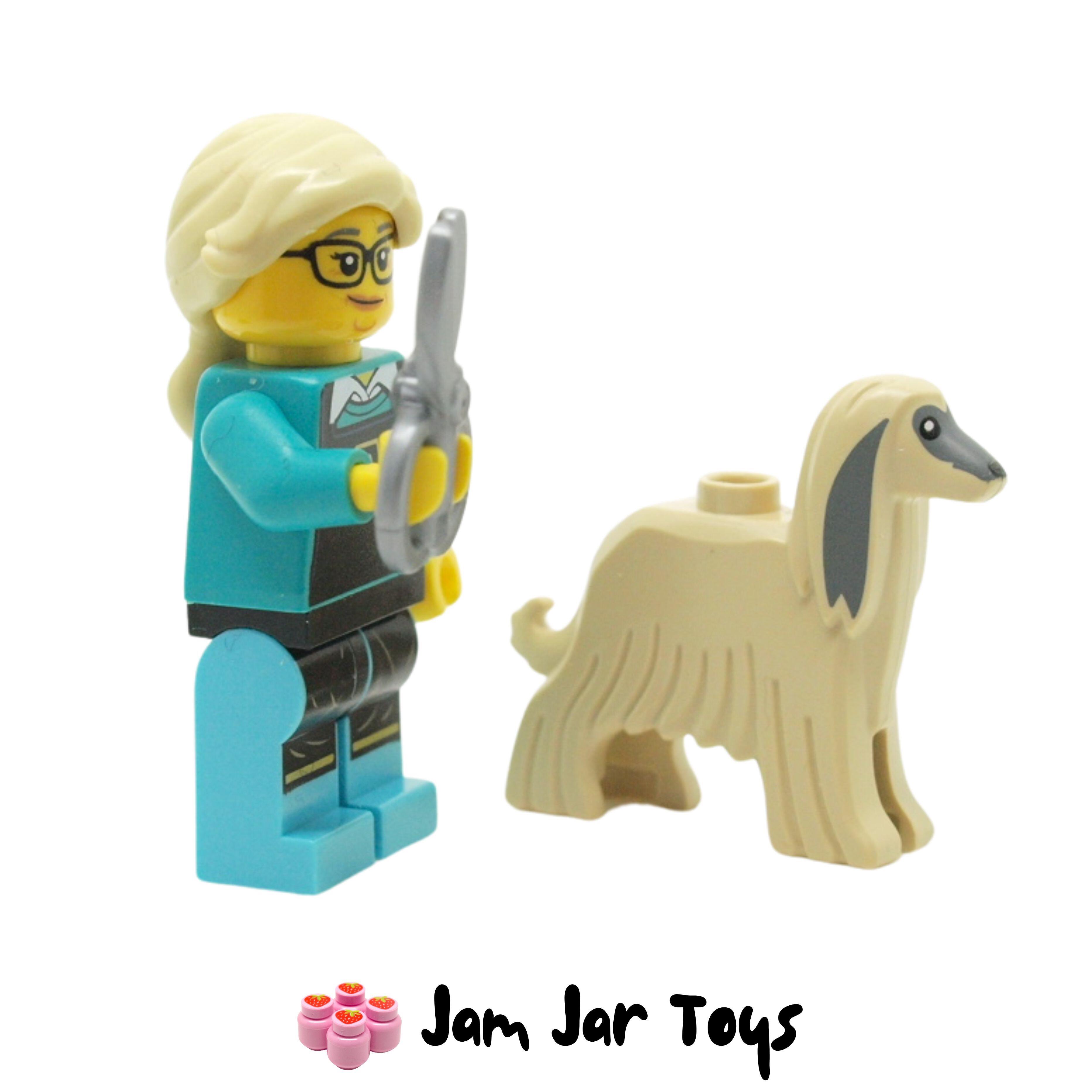 LEGO Collectable Series 25 Minifigure - Pet Groomer - 71045-12 COL435 RBB