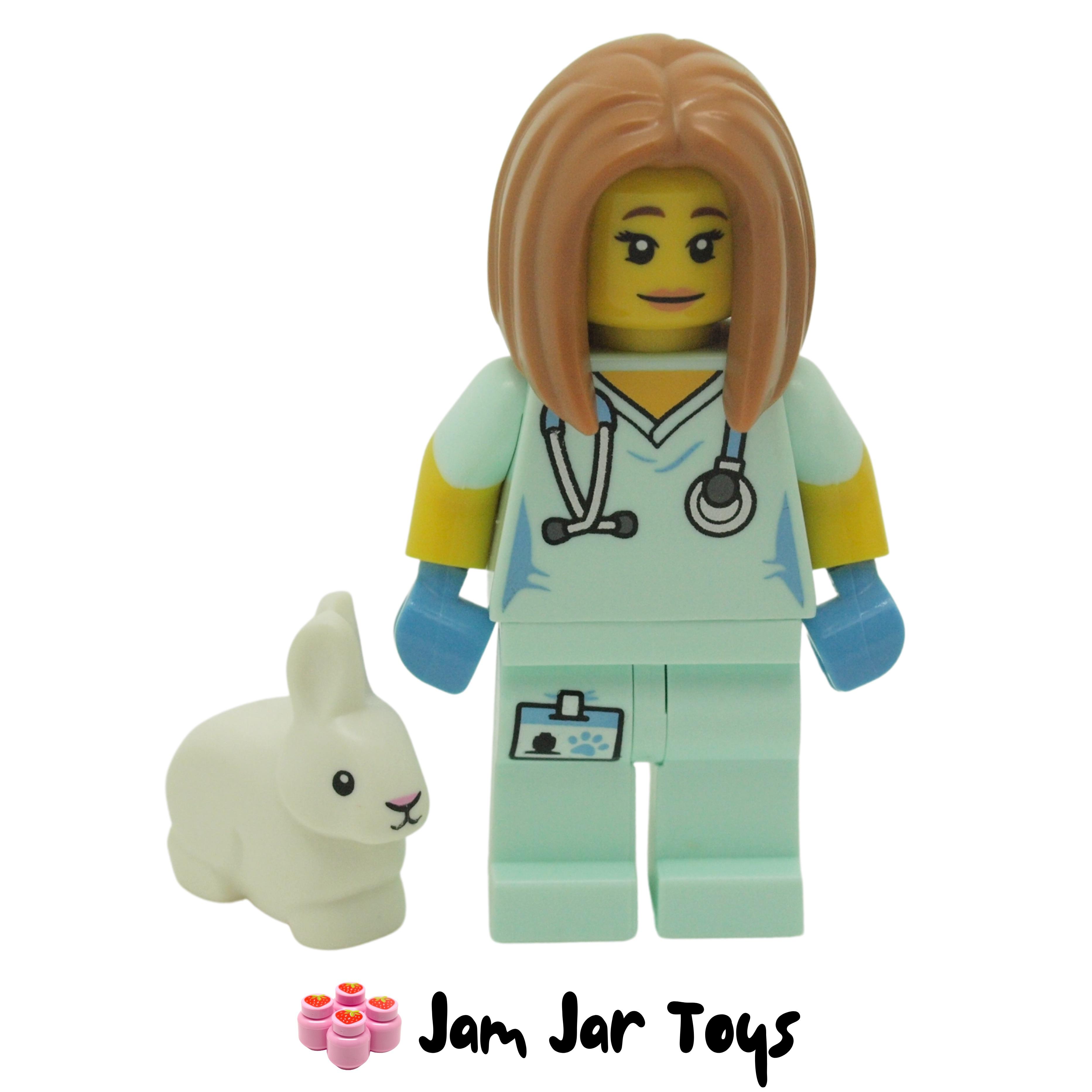 LEGO Series 17 Collectable Minifigures