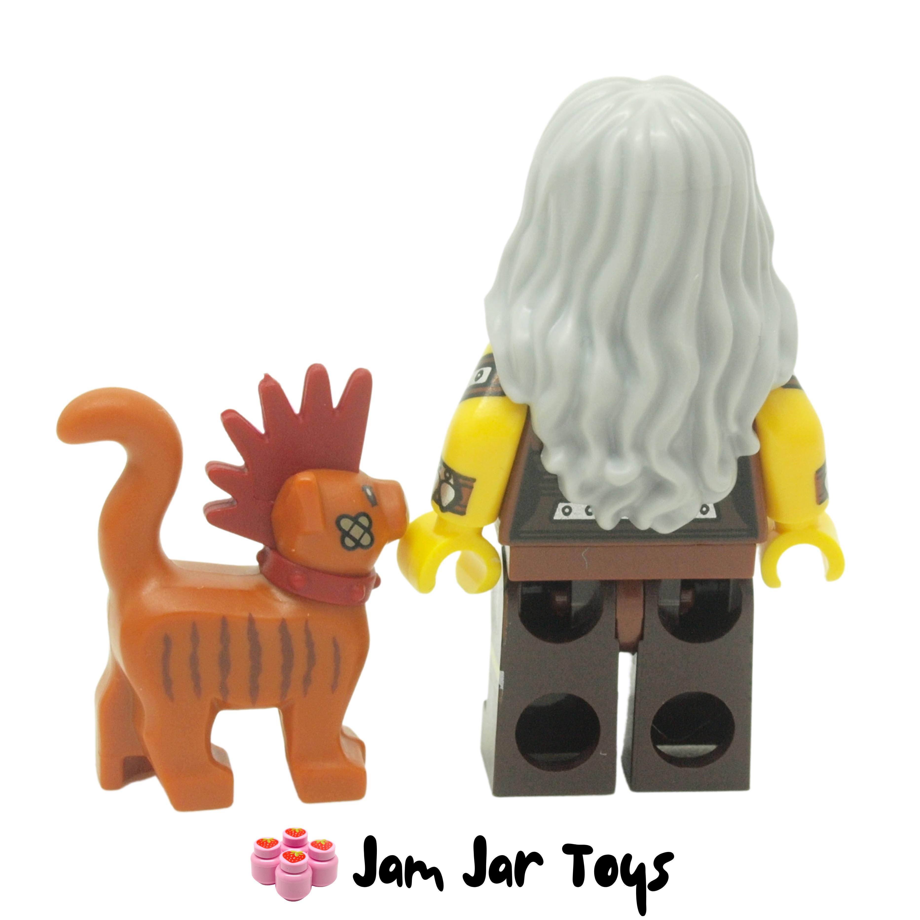 LEGO Sherry Scratchen-Post Minifigure 71023-6 TLM153