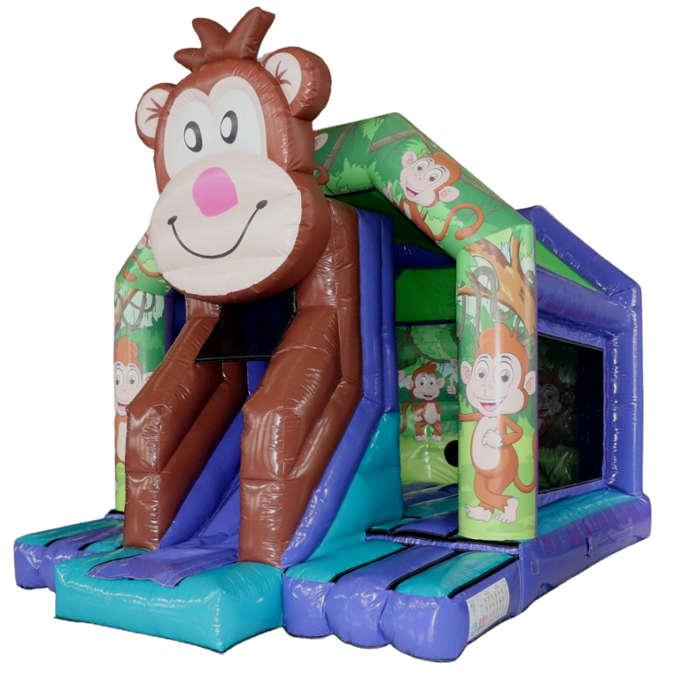 Innovations in Inflatables: The Latest Trends in Bouncy Castle Design