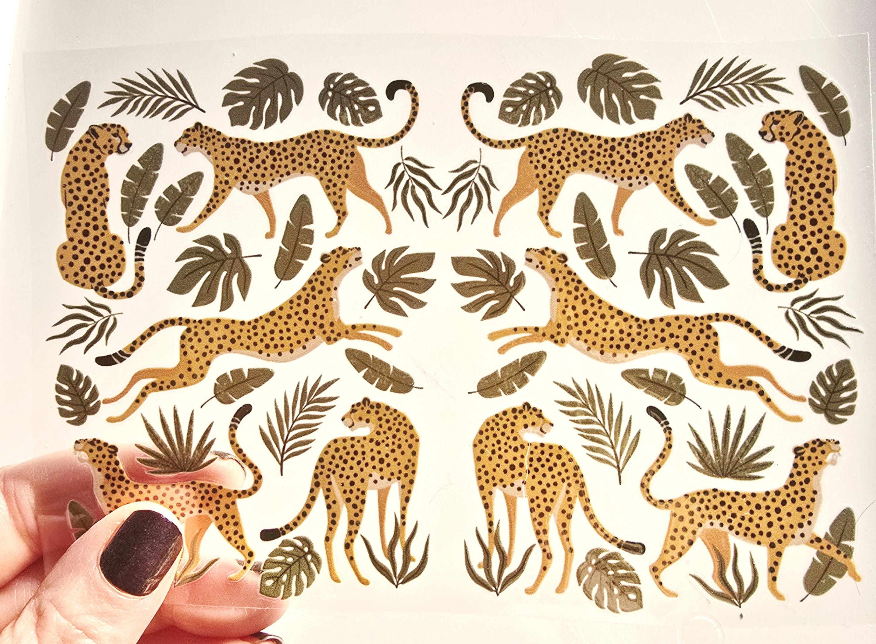 Assorted Rub On sticker transfers