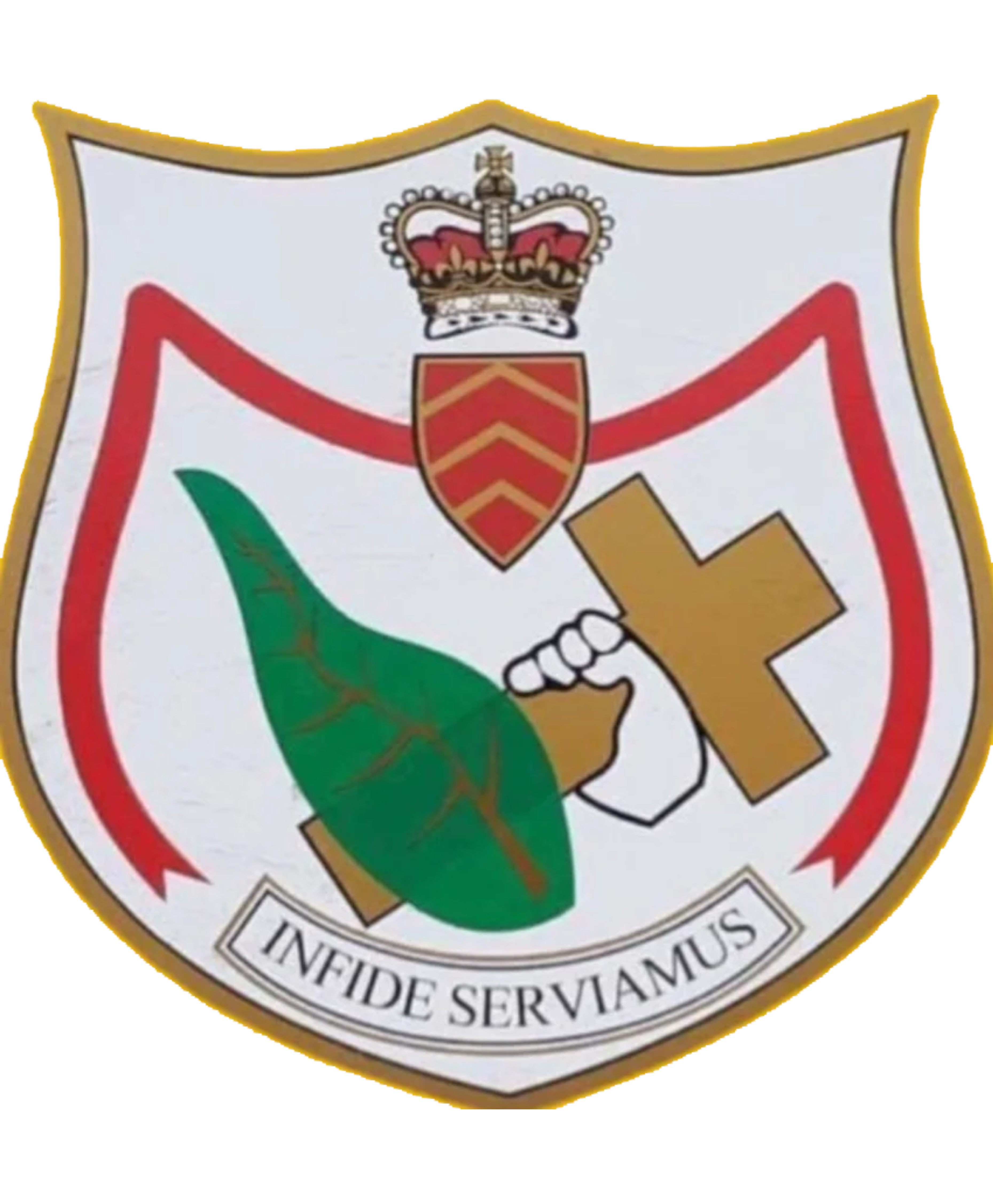 St Albans AFC Juniors