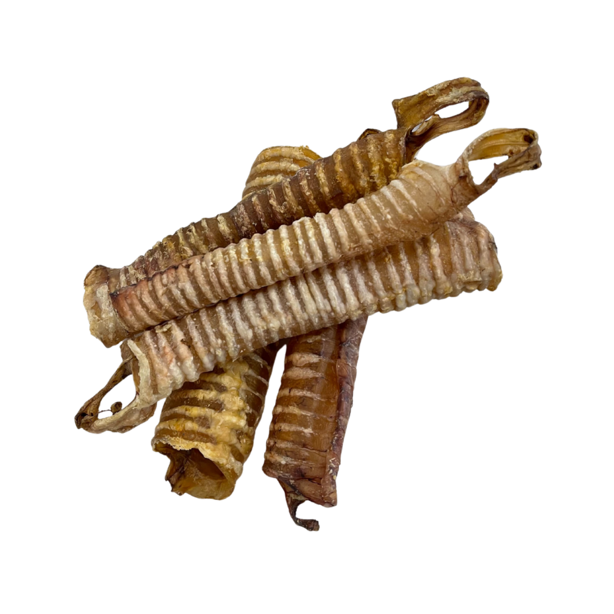 Trachea (Beef Air Pipe) XL 30-40cm - 1 pc