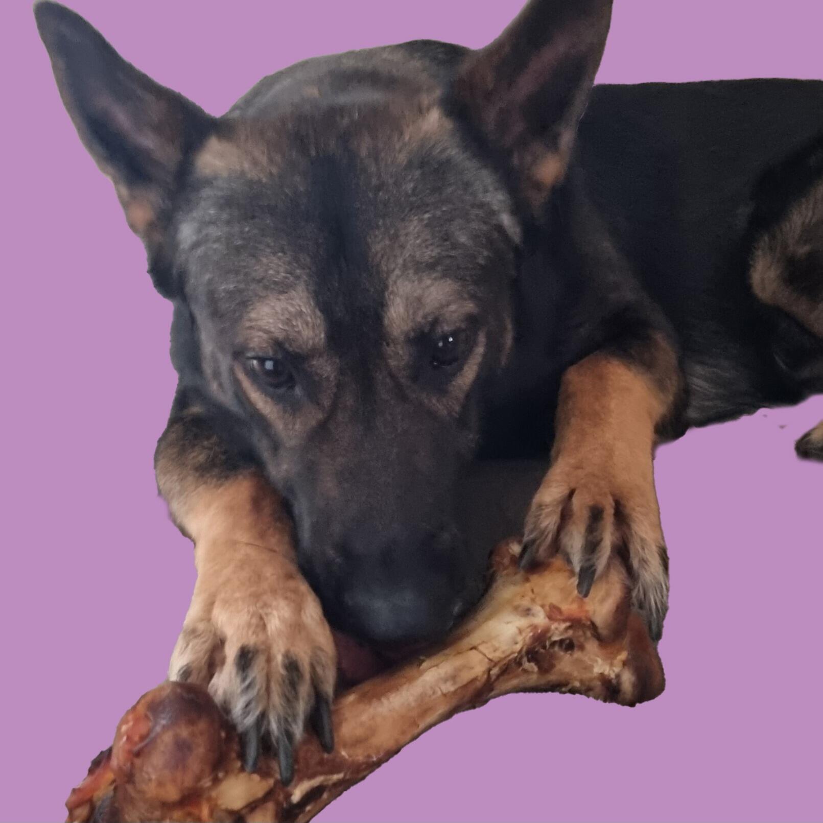 Long Lasting Chews